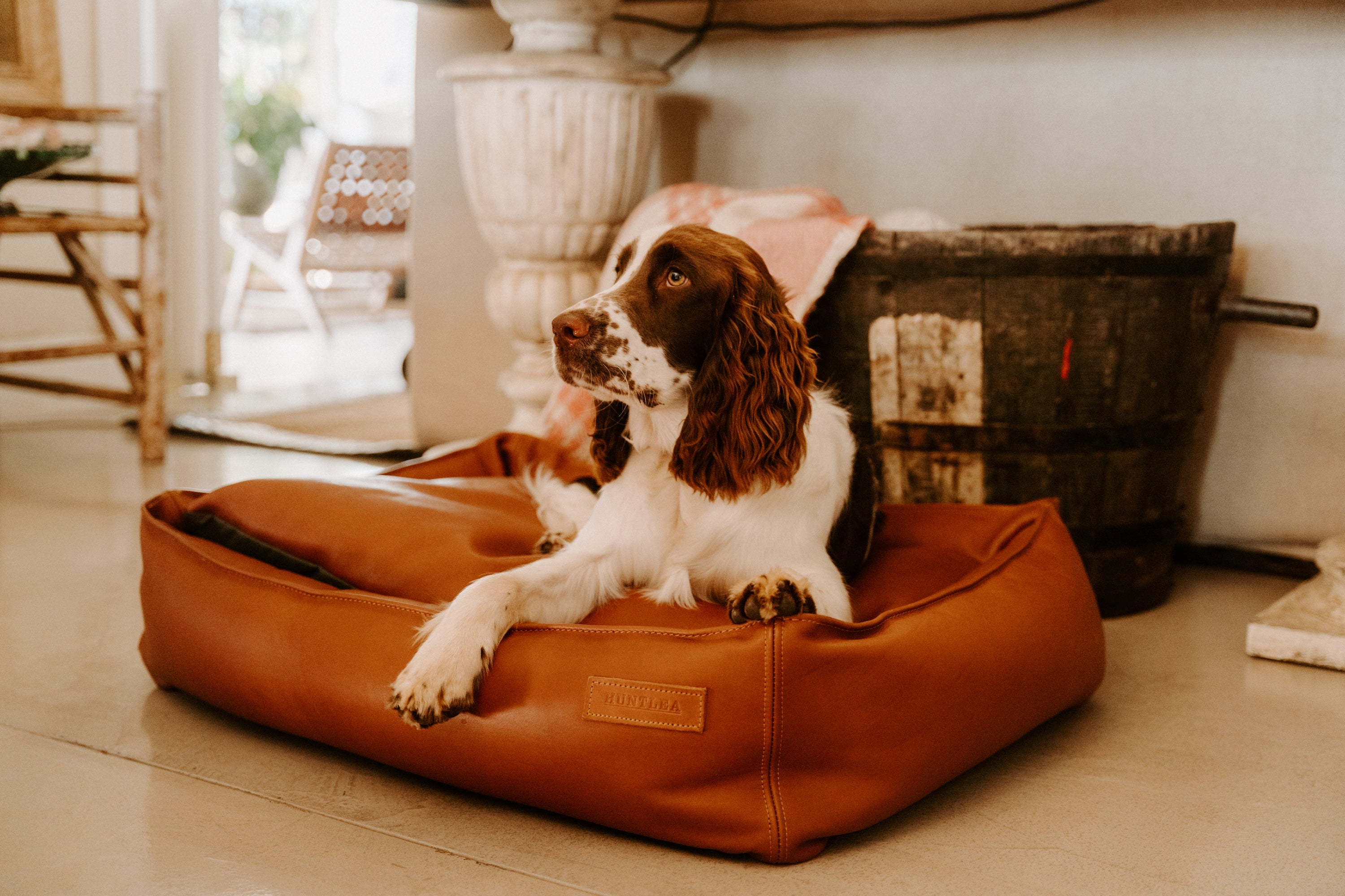 Leather Dog Beds – HUNTLEA