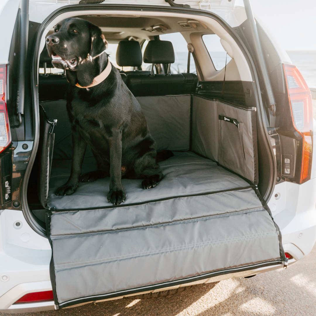 Dog Accessories – HUNTLEA