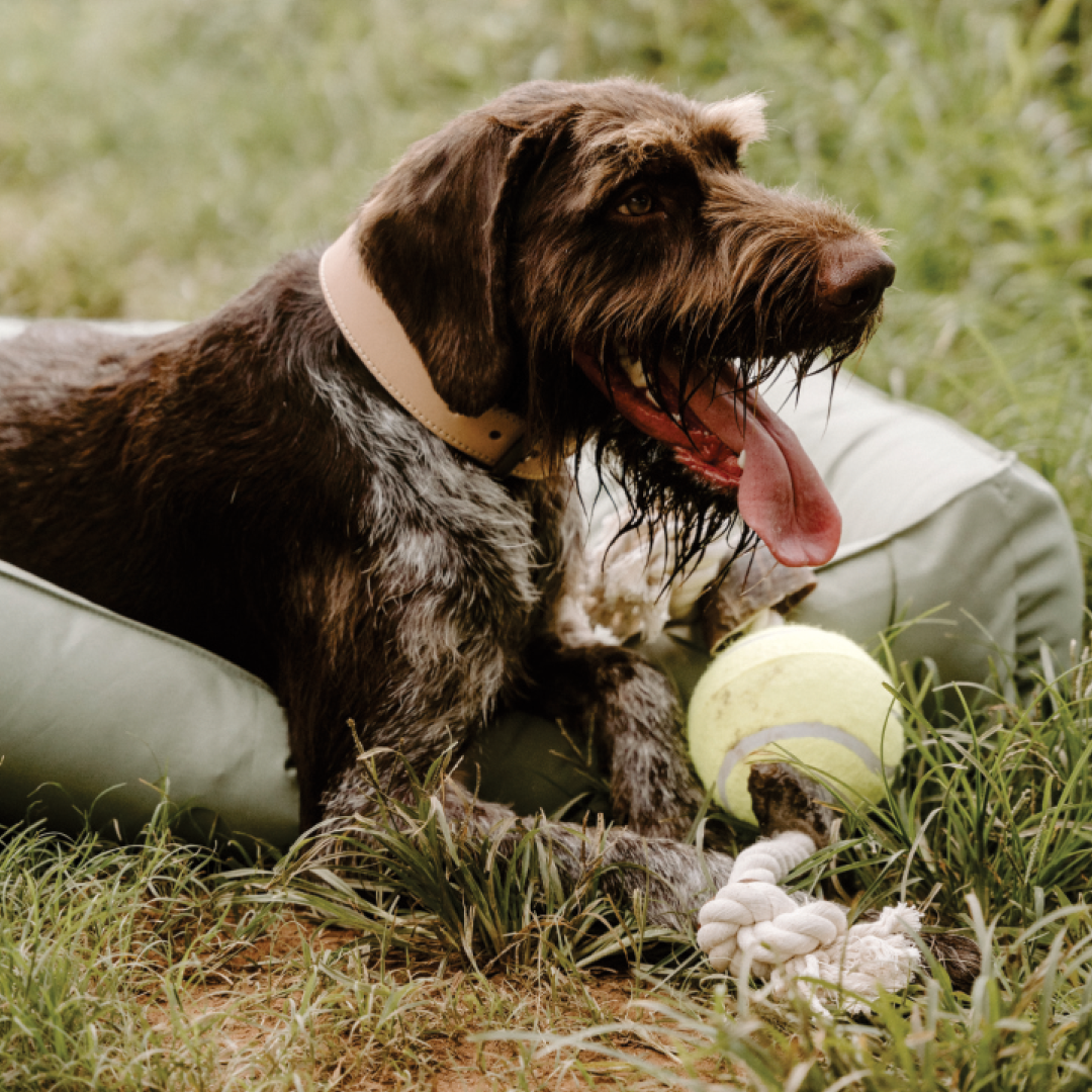 Huntlea Dog Rope Toy 2 Knot with 2 Hoof and Ball – HUNTLEA