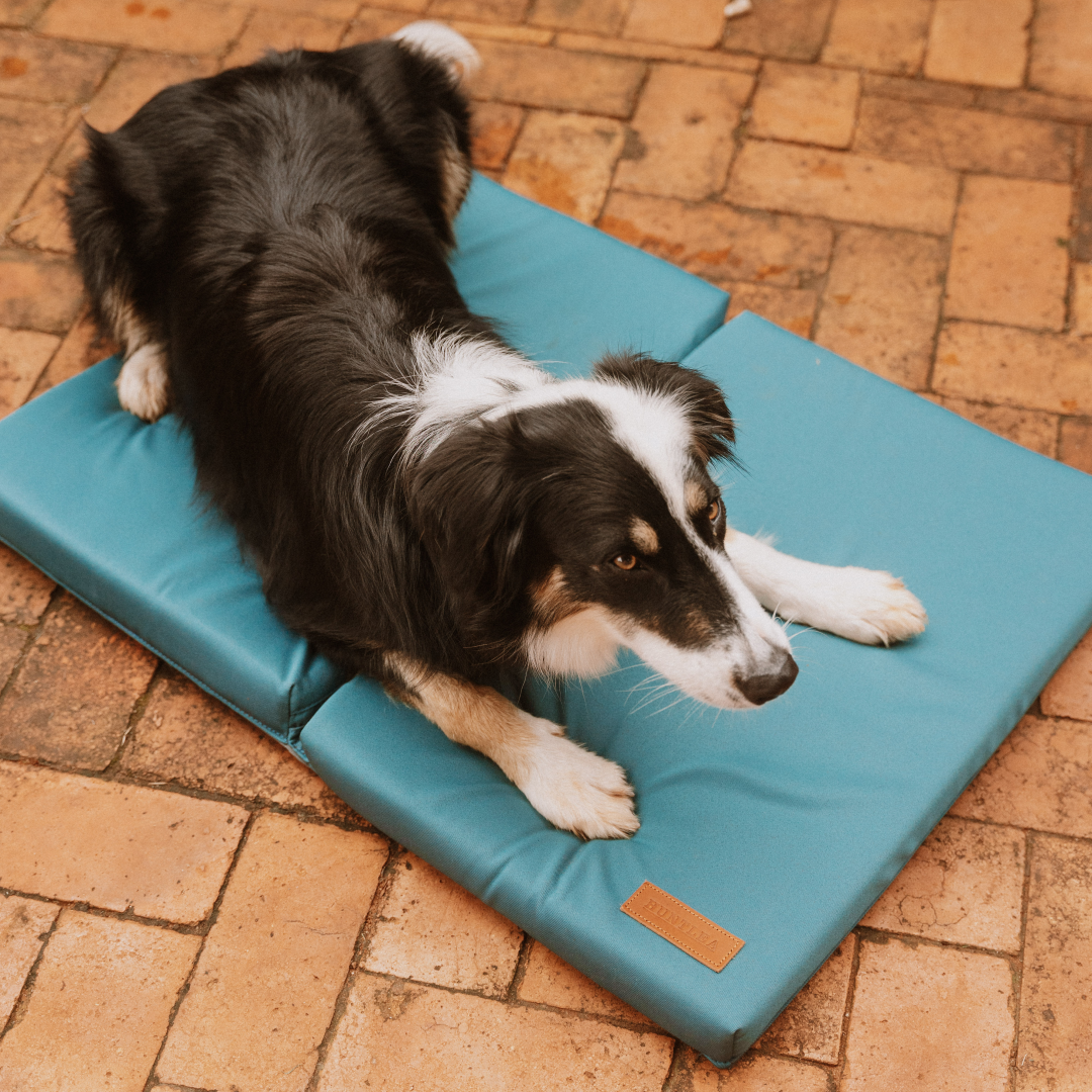 Dog Beds – HUNTLEA