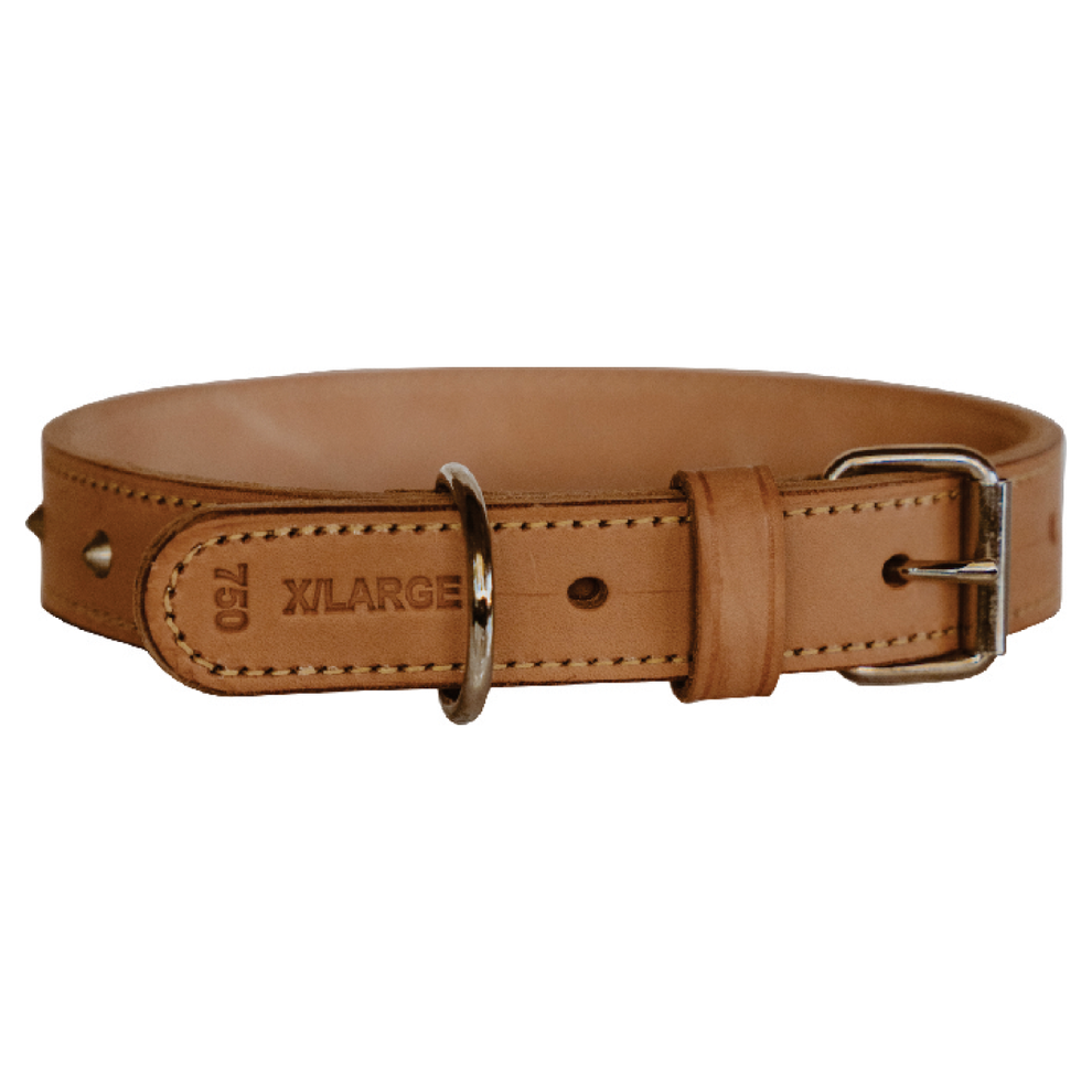 Impala Heavy Studded Dog Leather Collar – HUNTLEA