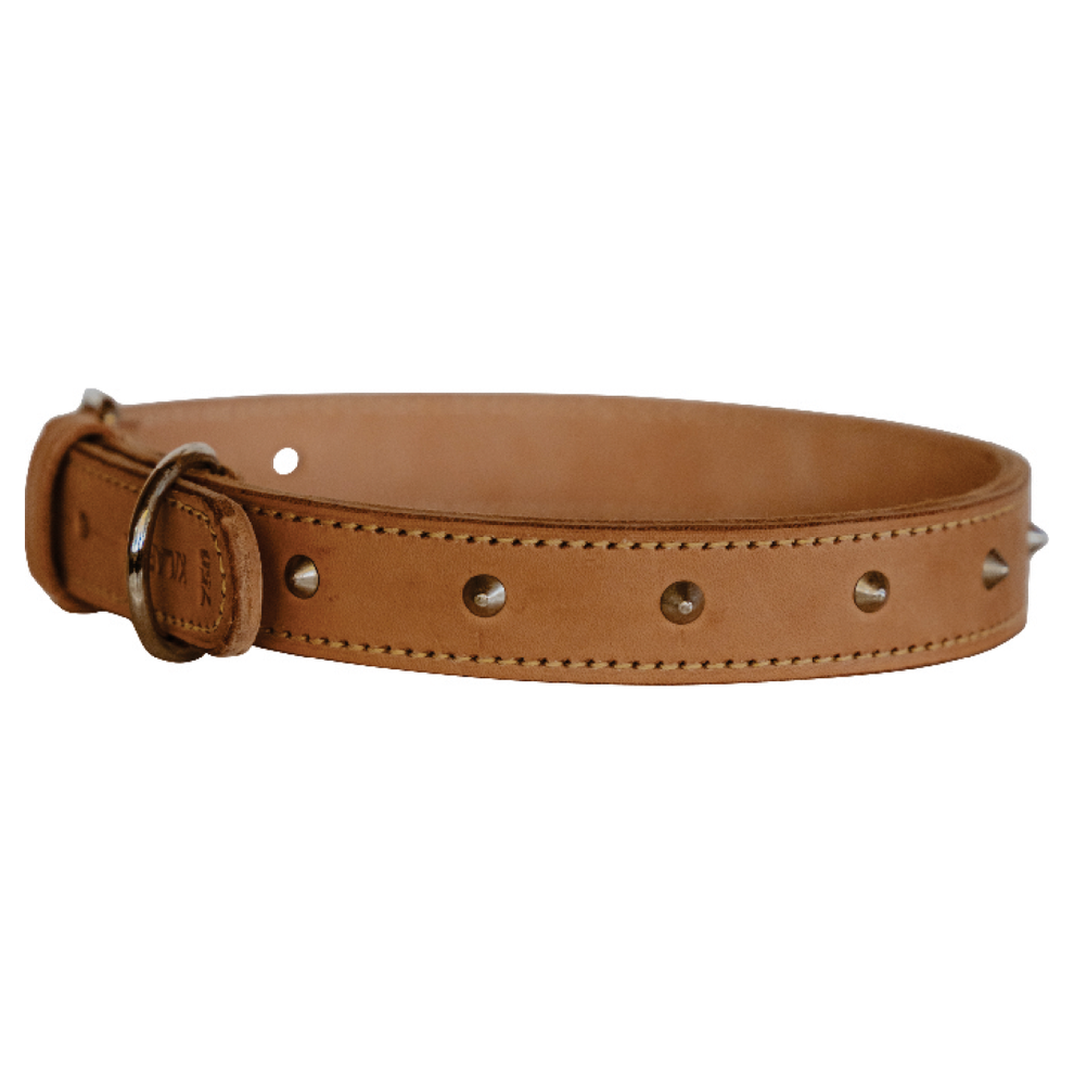 Impala Heavy Studded Dog Leather Collar – HUNTLEA