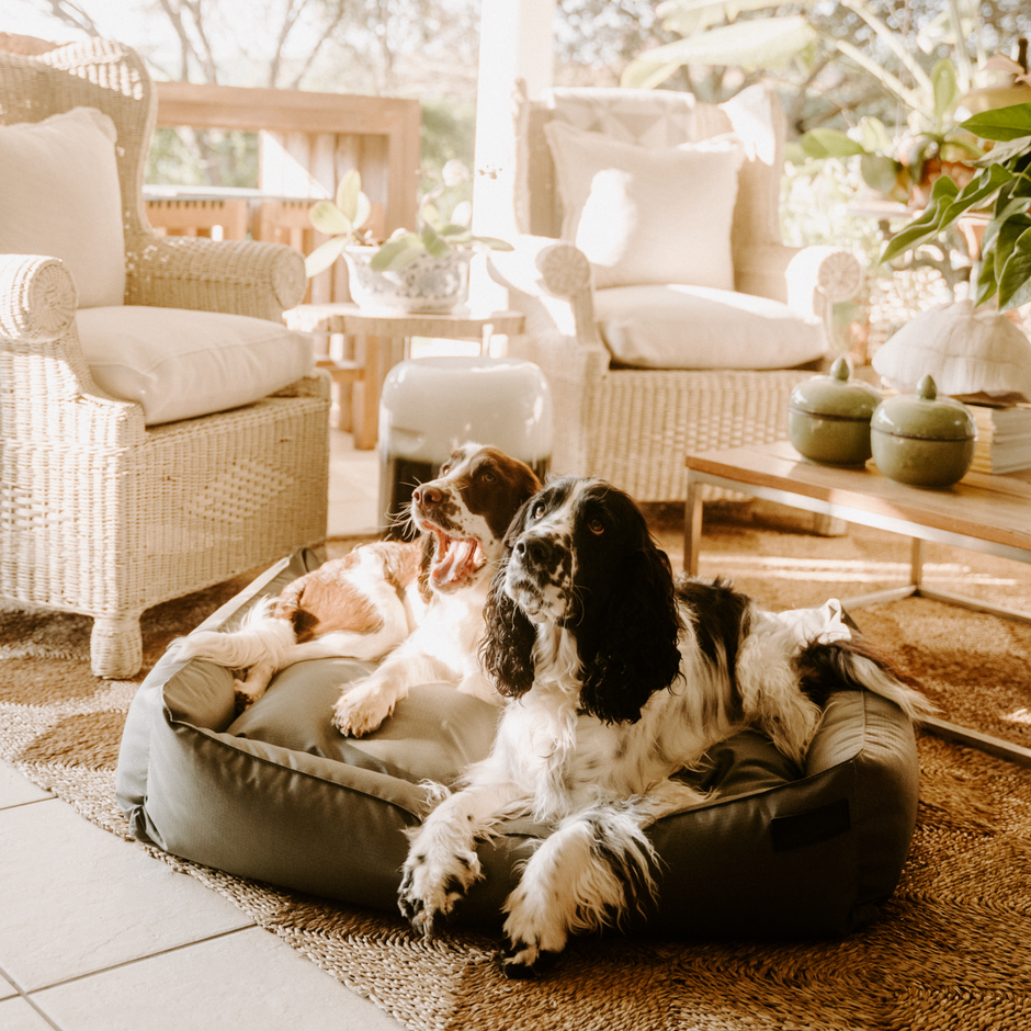 Dog Beds – HUNTLEA