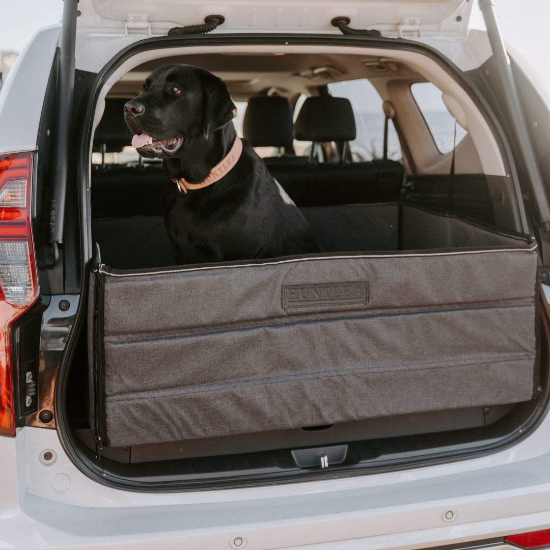 Huntlea Dog Boot Box – HUNTLEA