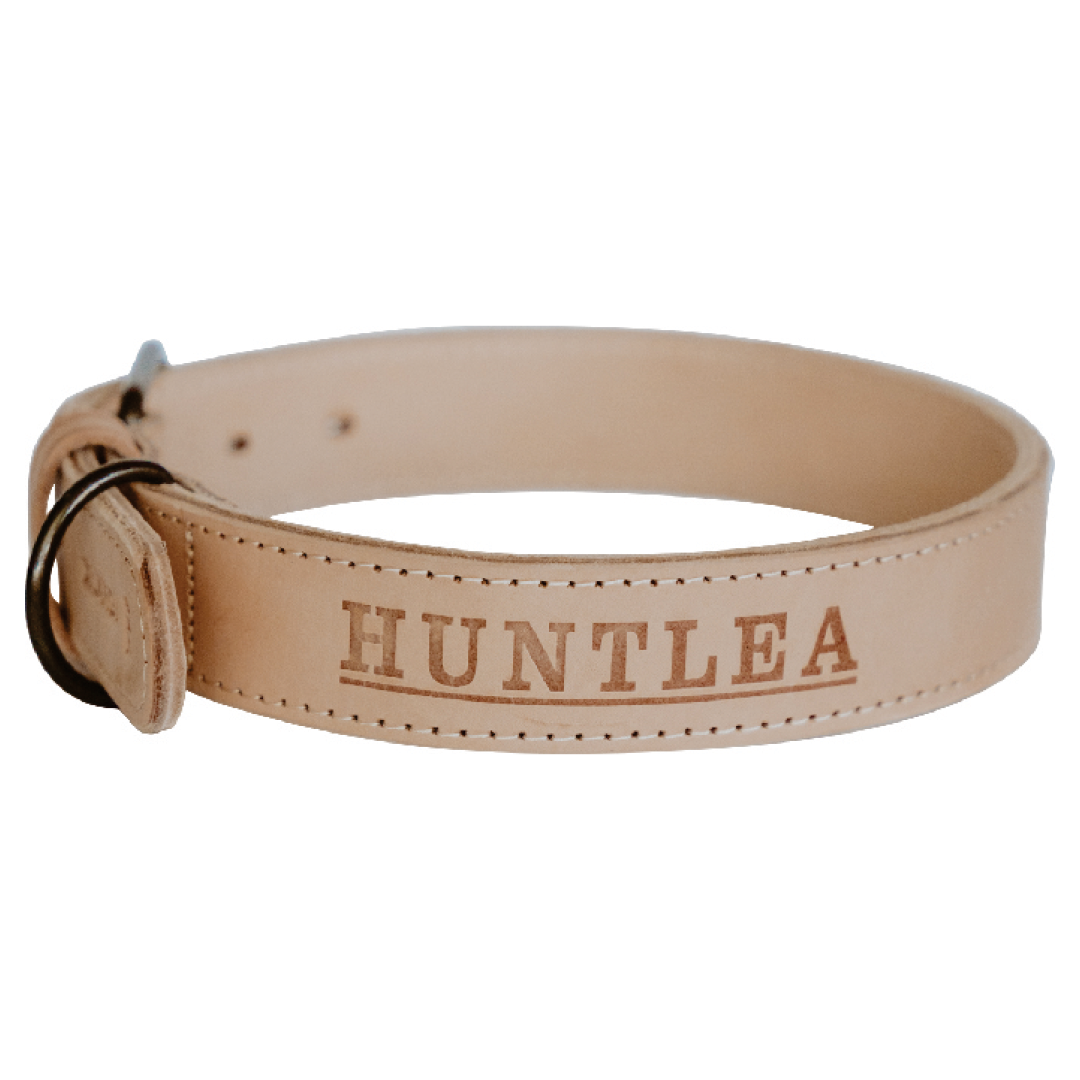 Impala Mighty Plain Dog Leather Collar – HUNTLEA