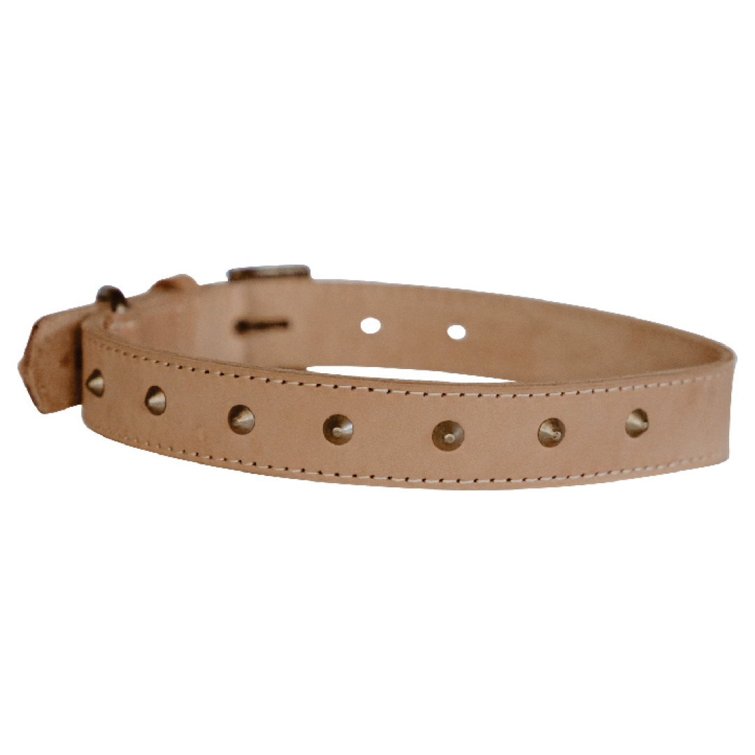 Impala Studded Dog Leather Collar – HUNTLEA