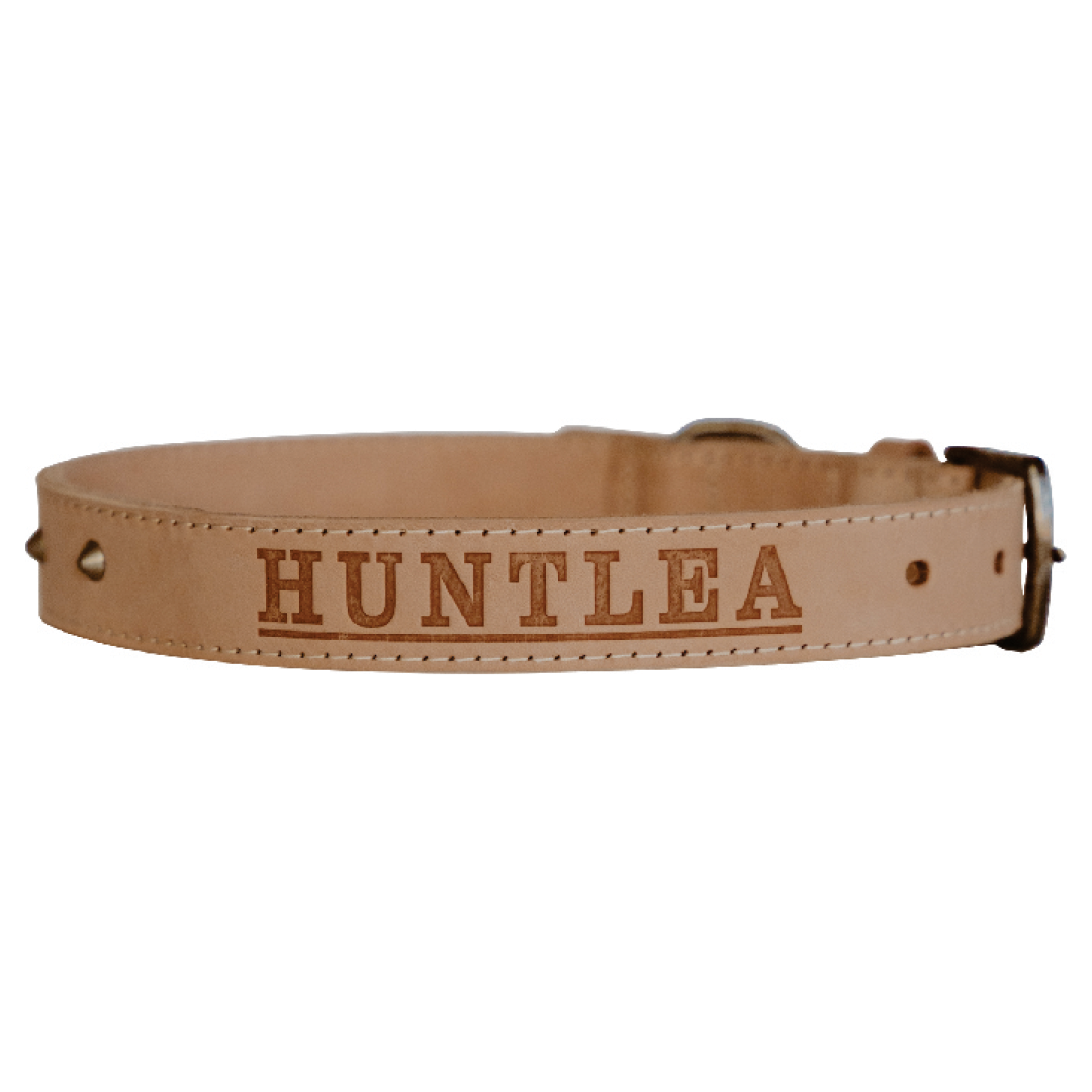 Impala Studded Dog Leather Collar – HUNTLEA